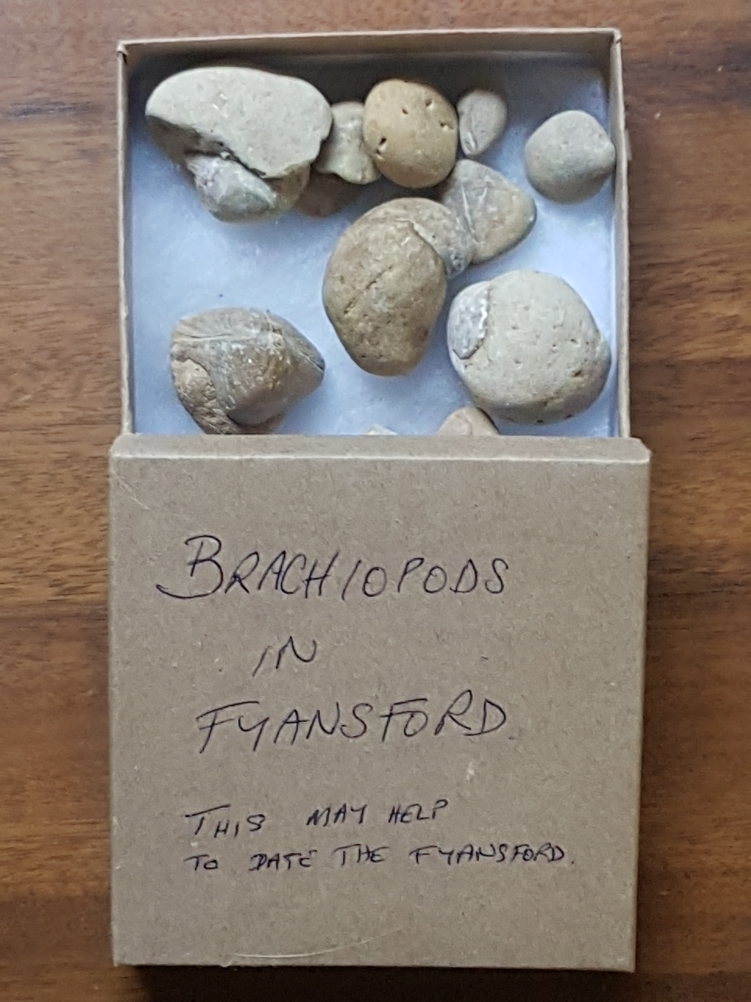 Preservation and Storage of your Fossils – Bayside Earth Sciences ...