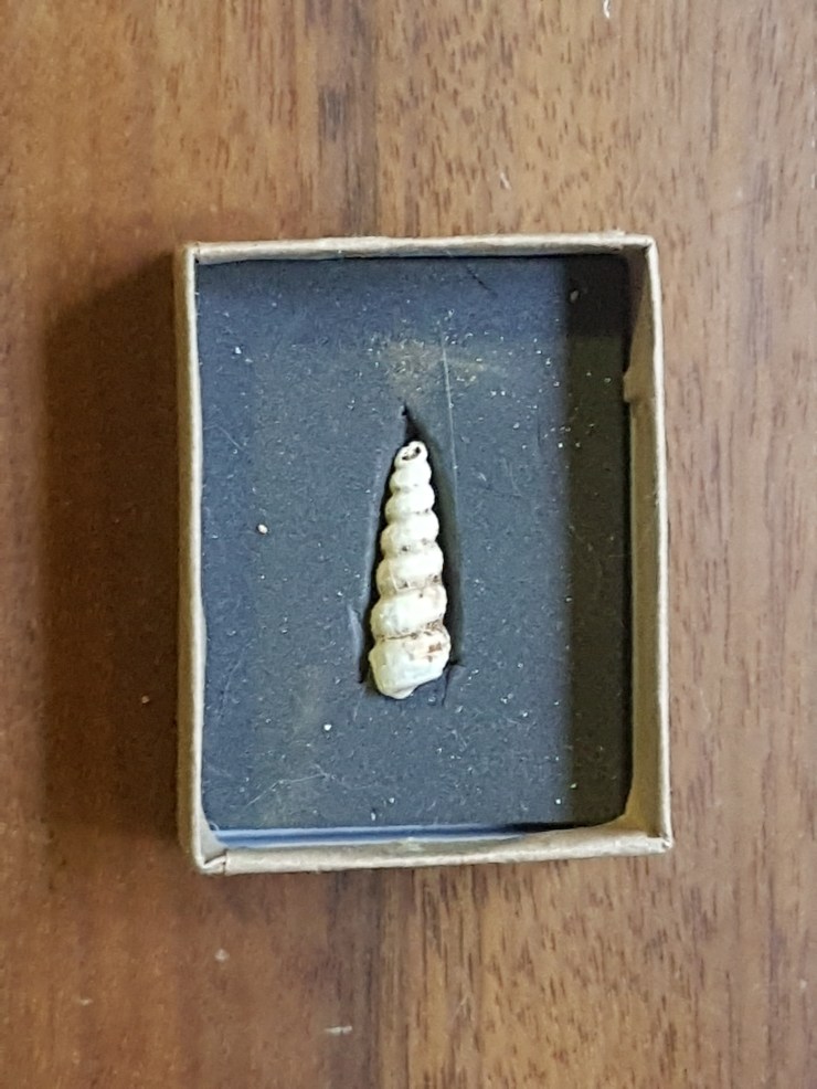 Preservation and Storage of your Fossils – Bayside Earth Sciences ...